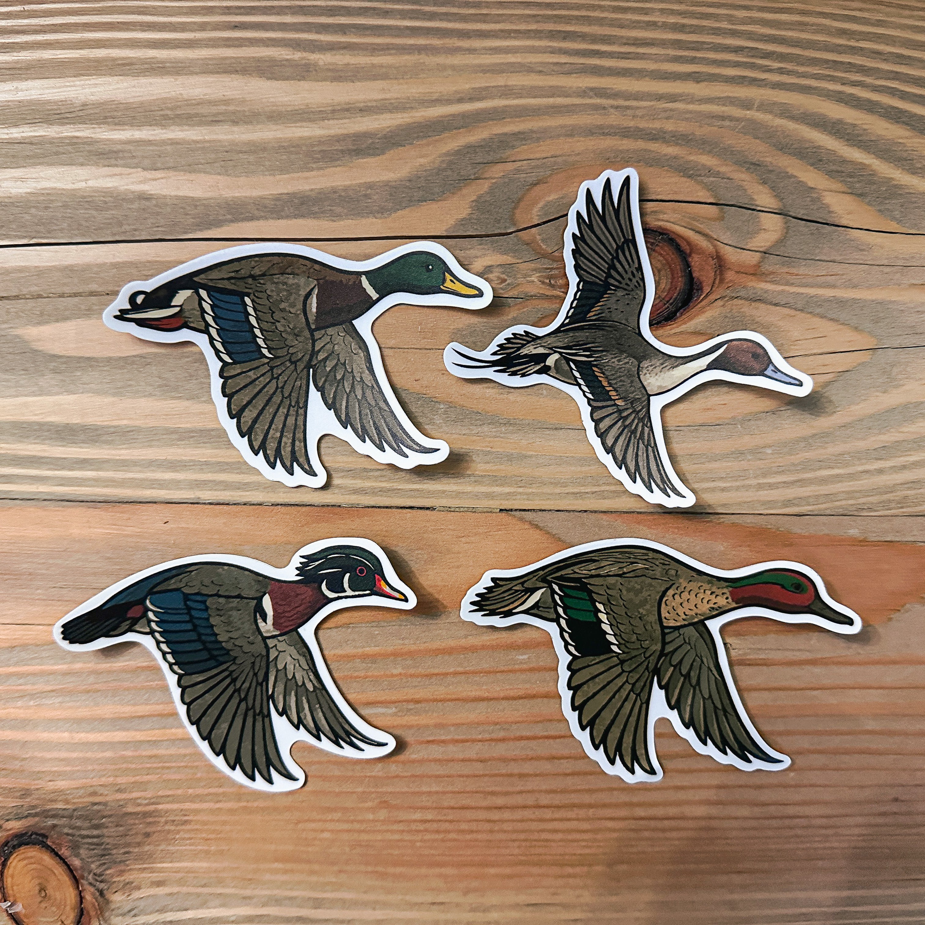 The Flock Sticker Pack – Prene Outdoors